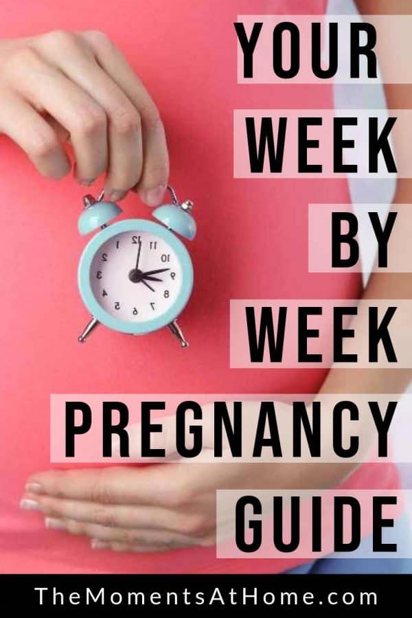 week by week guide to pregnancy baby growth