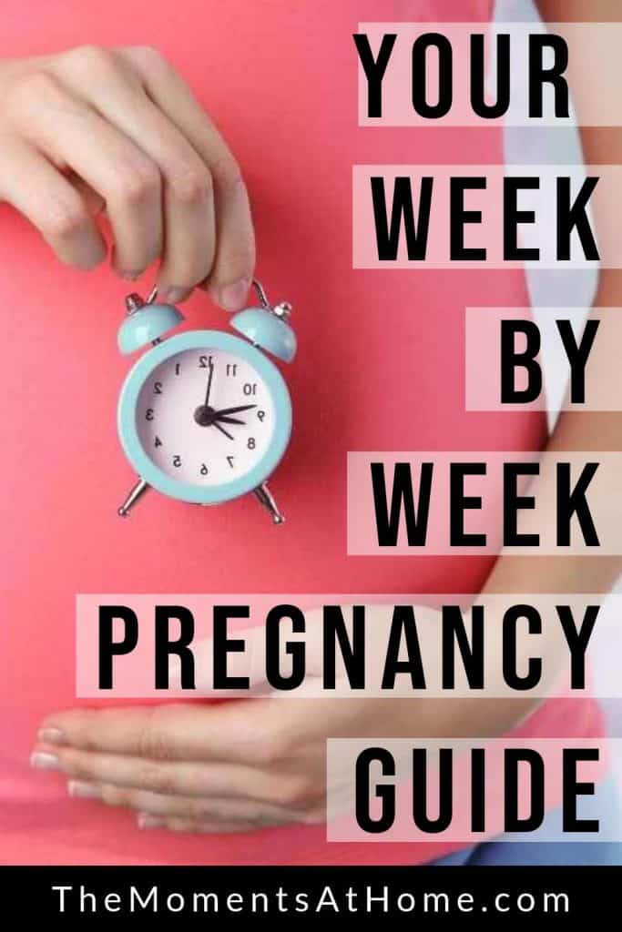 week by week guide to pregnancy baby growth
