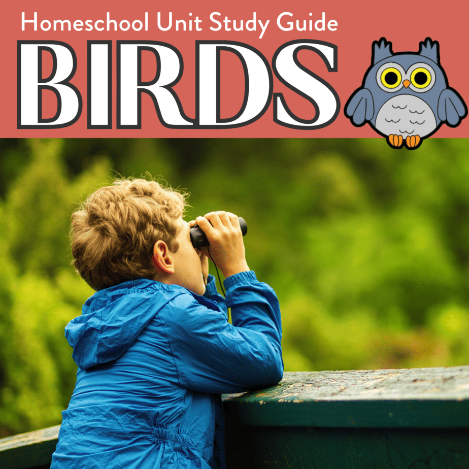 Easy Bird Unit Study for homeschooling