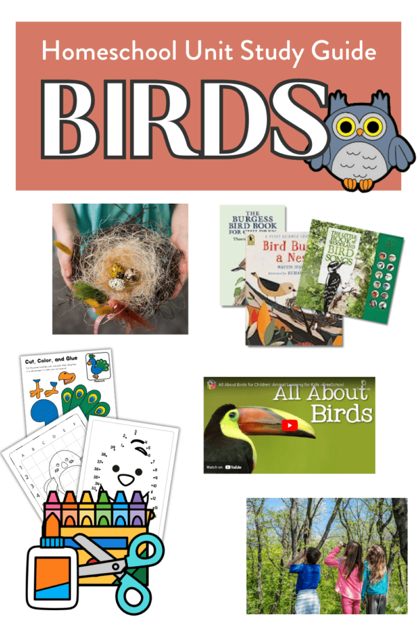 Homeschool Unit Study Birds